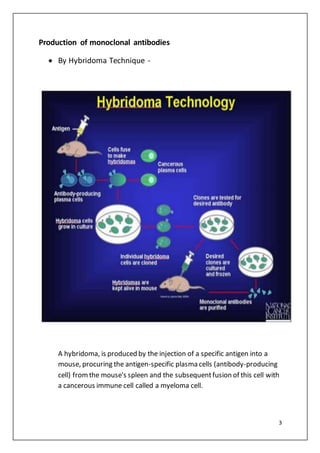 Monoclonal antibodies in cancer treatment By Ankit Tribhuvane | DOCX ...