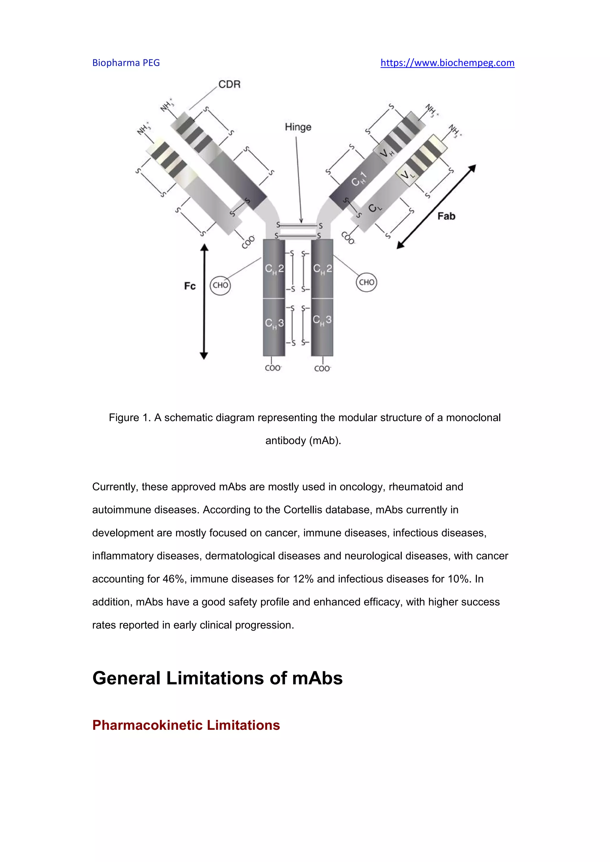 Monoclonal Antibodies Limitations & Potential Improvement Strategies.pdf