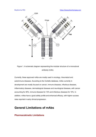 Monoclonal Antibodies Limitations & Potential Improvement Strategies.pdf