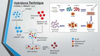 Monoclonal antibodies ppt[1] | PPT