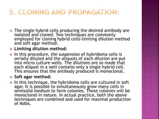 Monoclonal antibodies production | PPTX