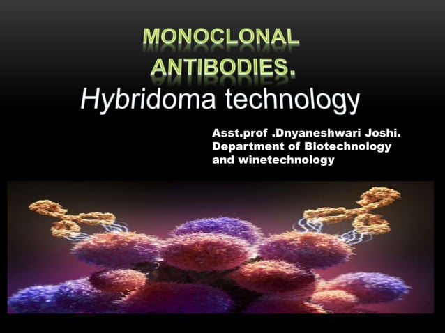 Monoclonal antibodies and their applications | PPTX