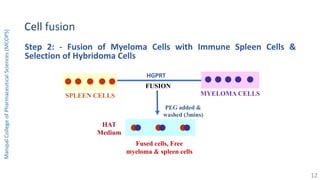 Monoclonal antibody and its delivery | PPTX