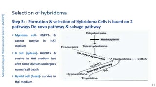 Monoclonal antibody and its delivery | PPTX