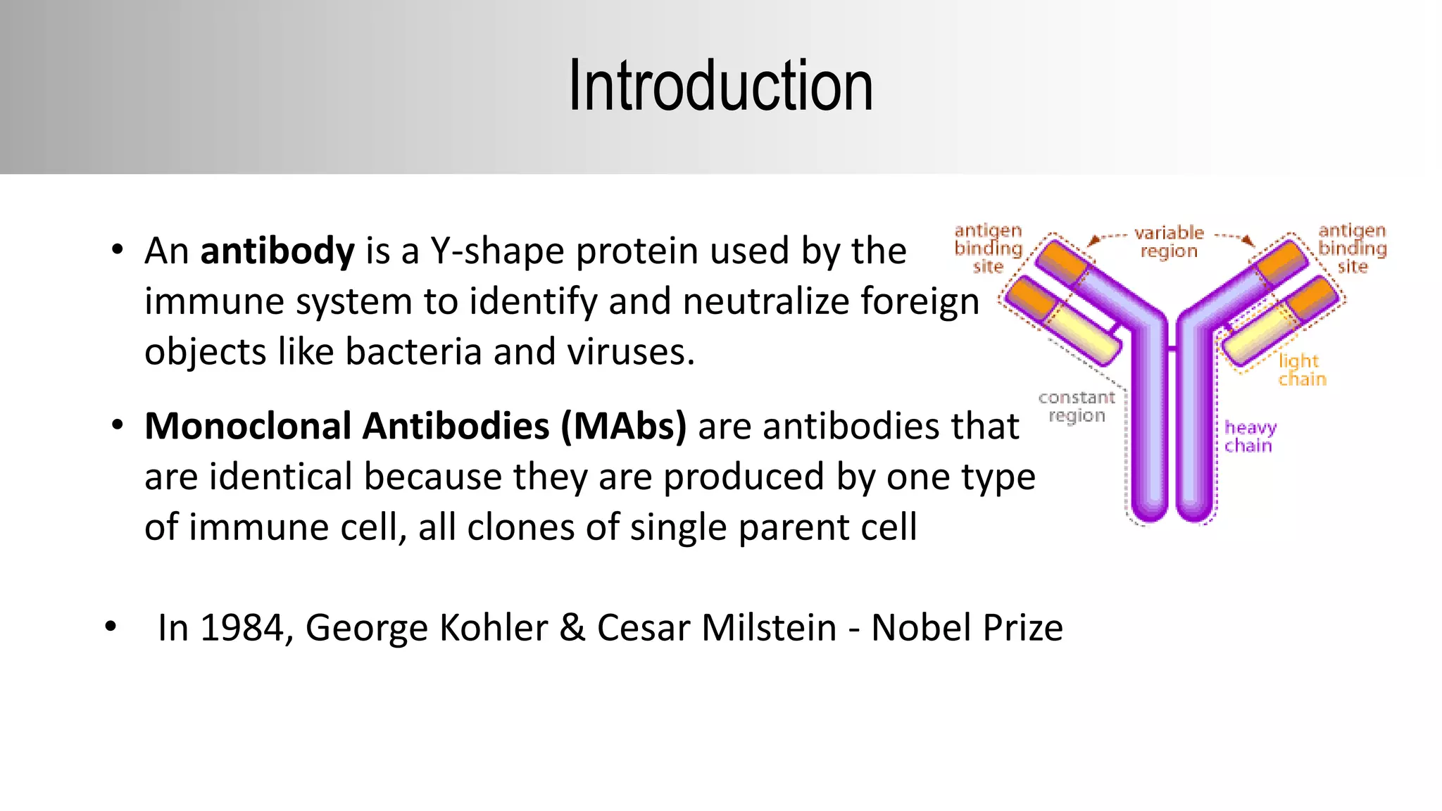 Monoclonal Antibody | PPTX