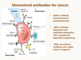 Monoclonal antibody | PPTX