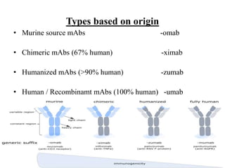 Monoclonal antibody | PPTX | Chemistry | Science