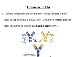 Monoclonal antibody | PPTX | Chemistry | Science