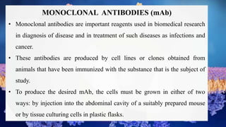 MONOCLONAL ANTIBODY.pptx