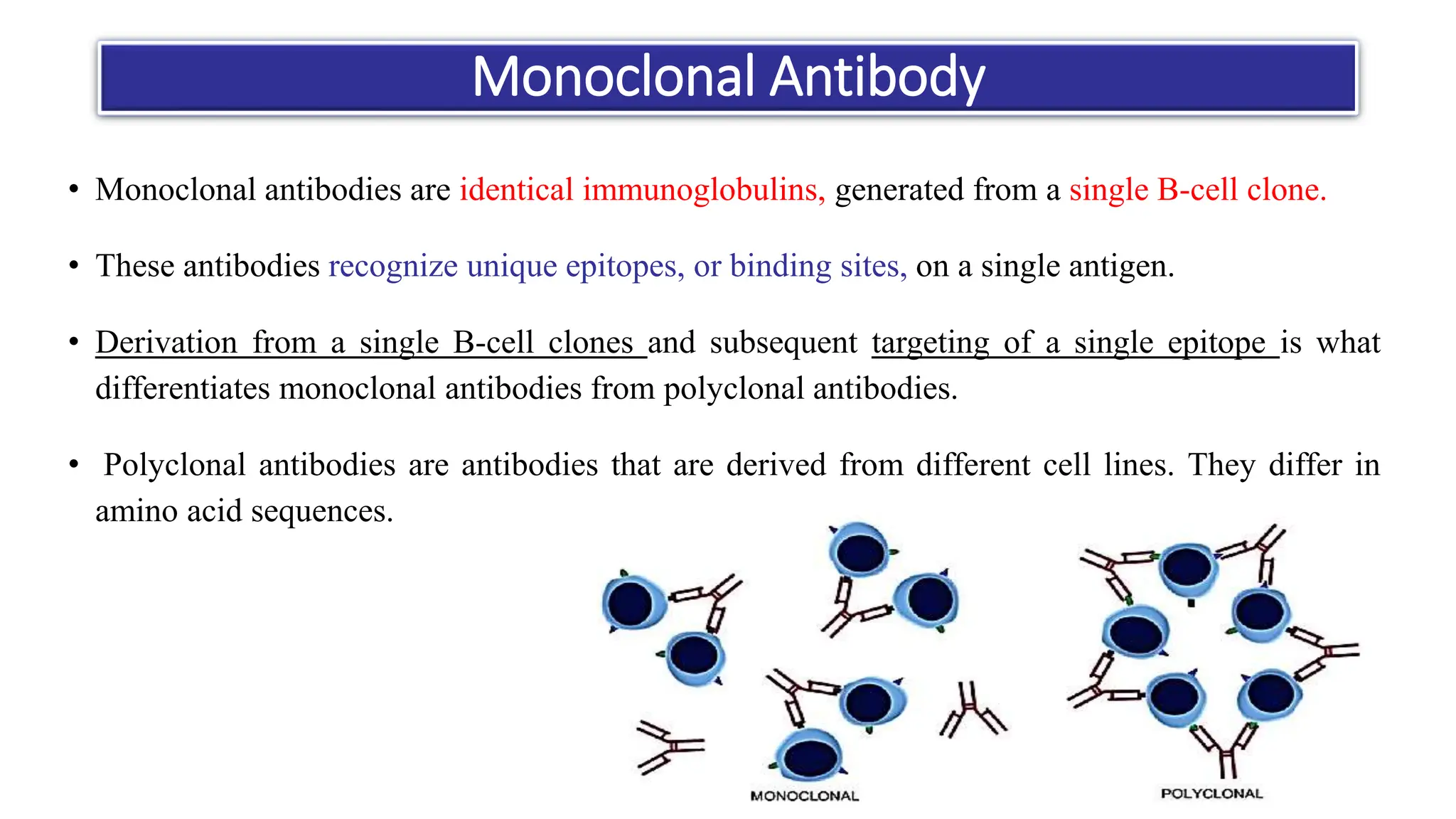 Monoclonal antibody production by hybridoma technology | PPTX