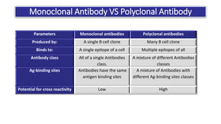 Monoclonal antibody production by hybridoma technology | PPTX