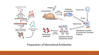 Monoclonal Antibody-Preparation & Application - MPH201T.pptx