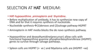 MONOCLONAL ANTIBODY HYBRIDOMA TECHNIQUES AND PRODUCTION.pptx