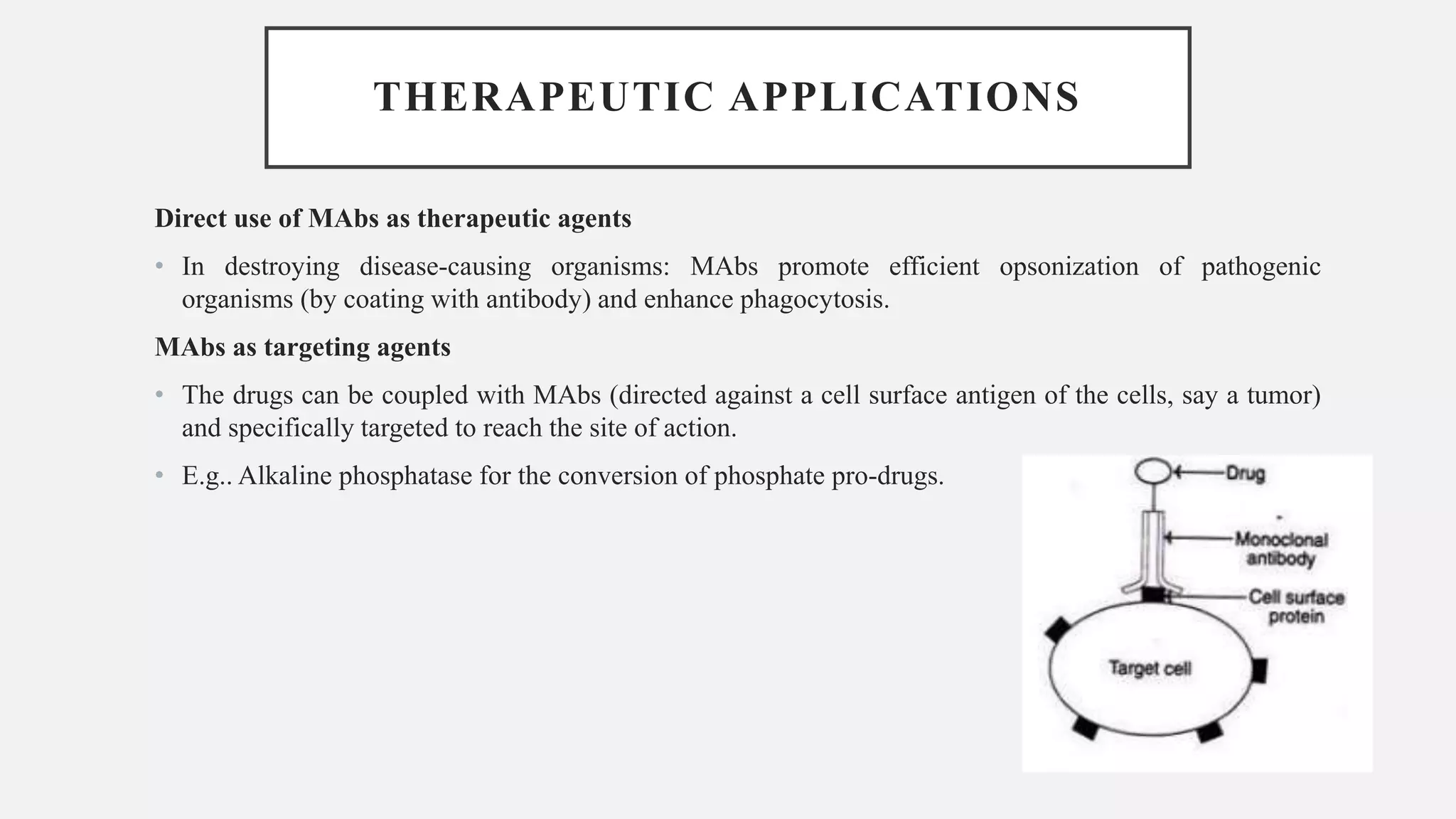 Monoclonal antibody immunology | PPTX