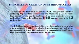 Monoclonal antibody (MAb) | PPTX