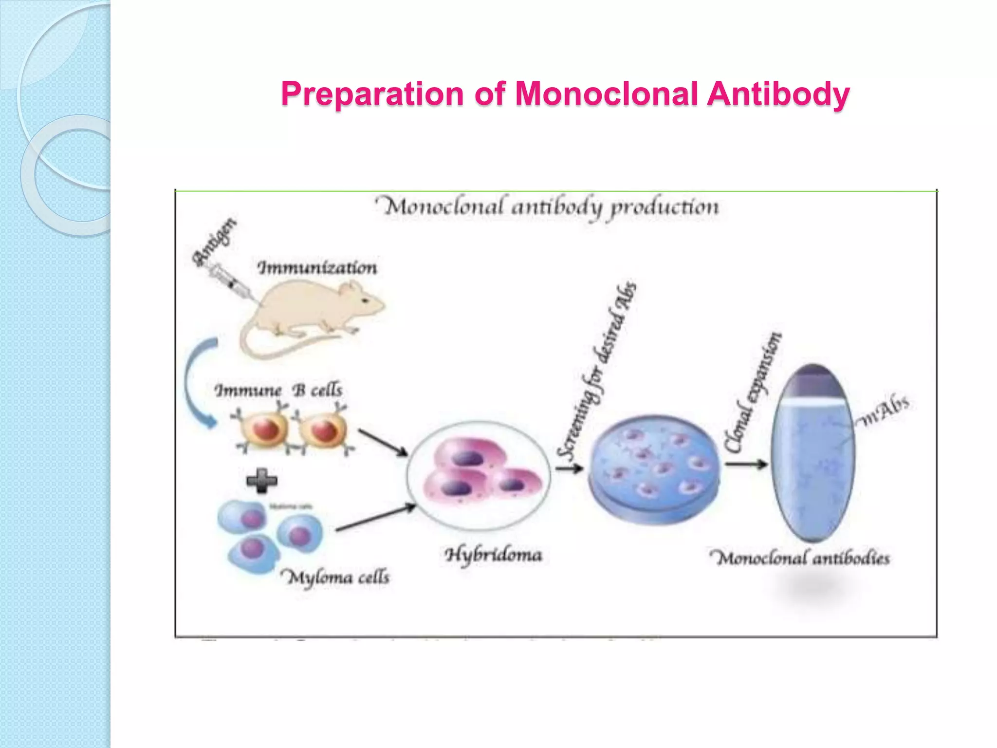 Monoclonal antibody ppt | PPTX