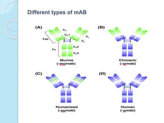 Monoclonal antibody ppt | PPTX
