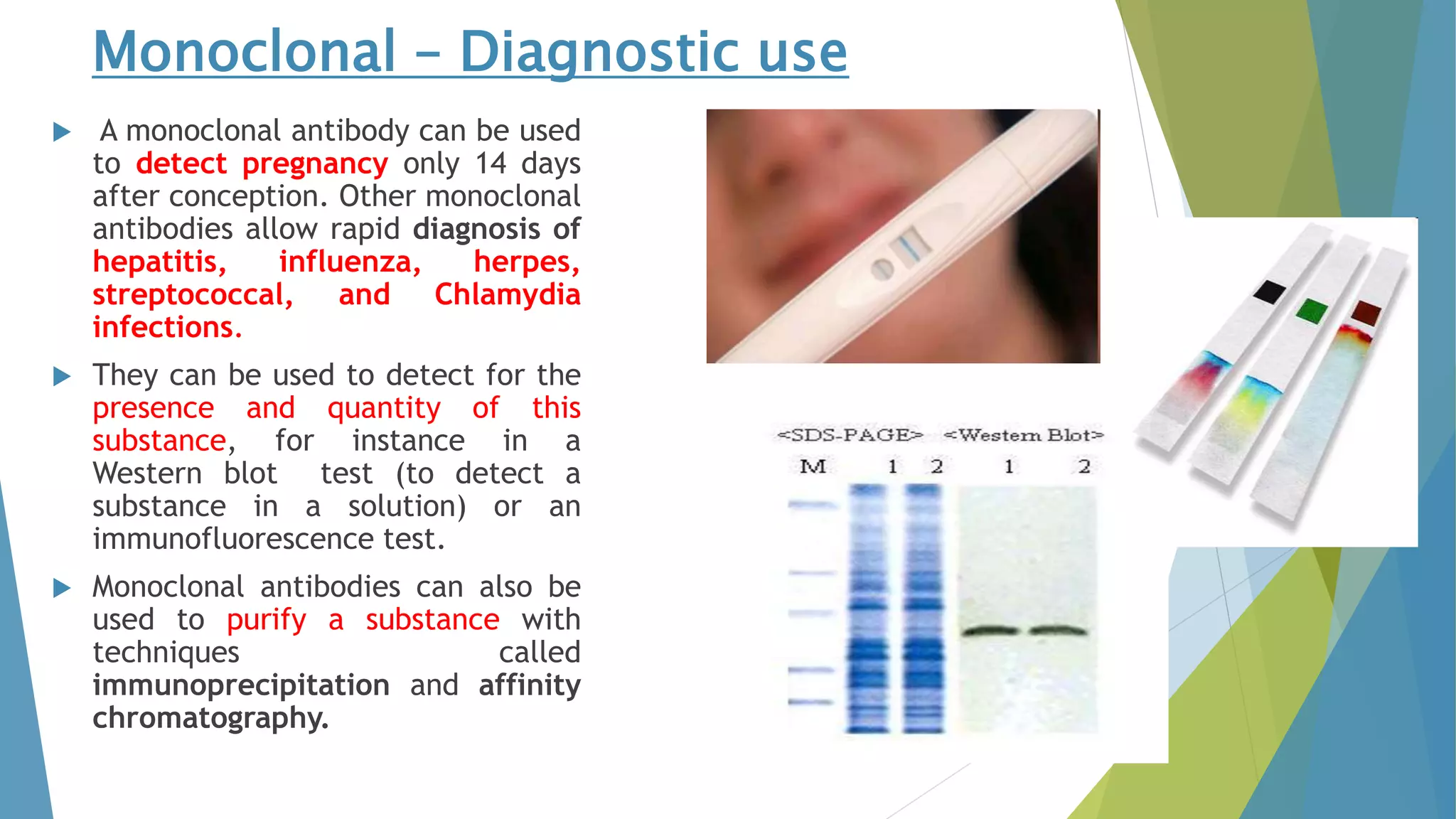 Monoclonal antibody production | PPTX
