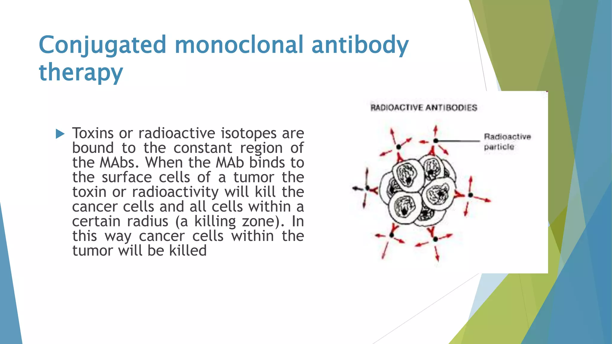Monoclonal antibody production | PPTX