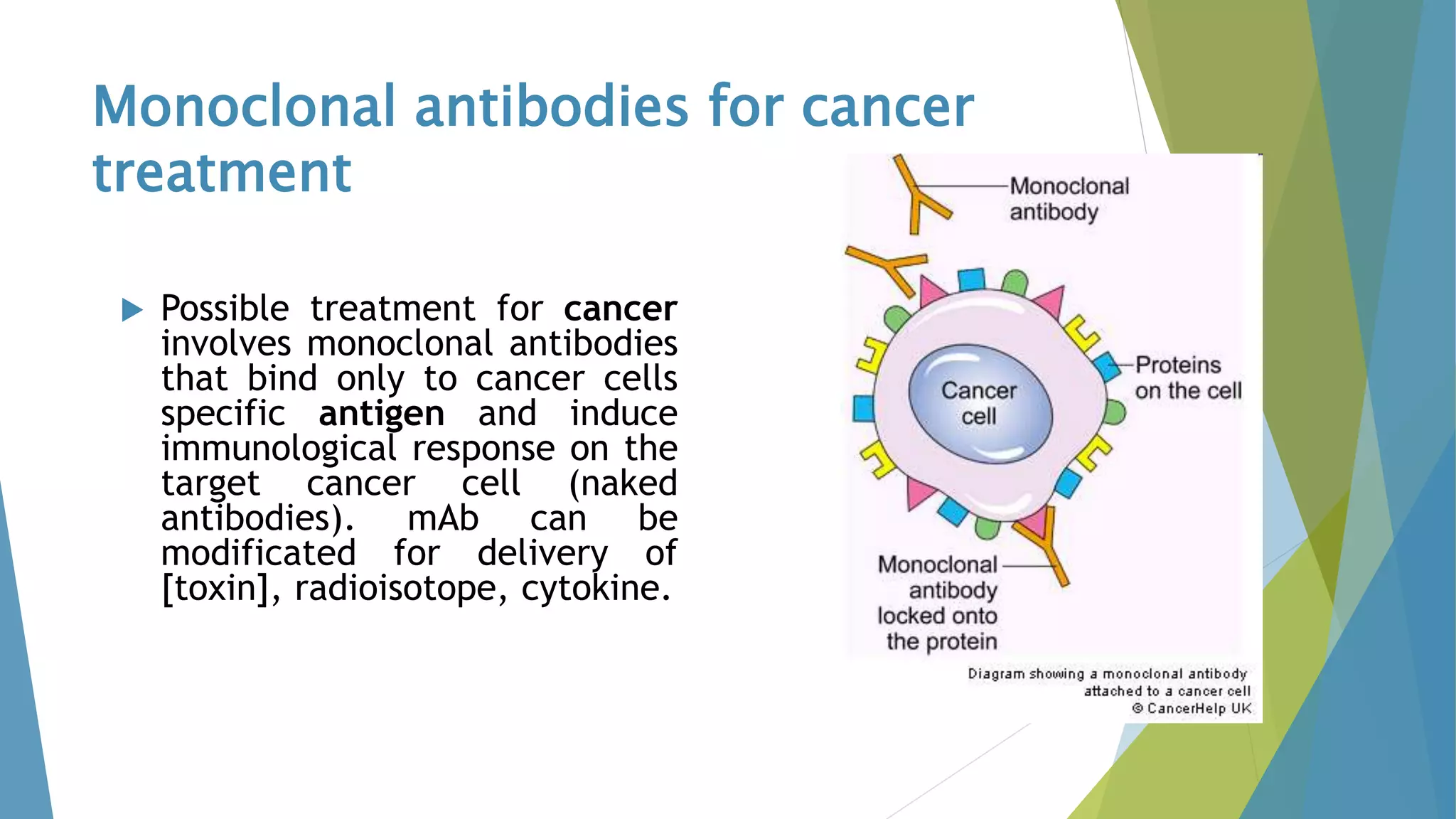 Monoclonal antibody production | PPTX