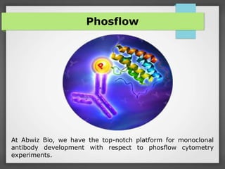 Monoclonal phospho antibodies | PPTX