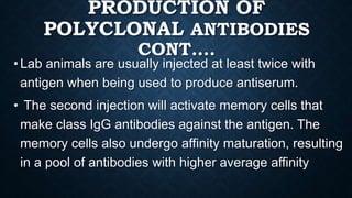 Monoclonal vs Polyclonal antibodies | PPTX