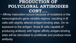 Monoclonal vs Polyclonal antibodies | PPTX