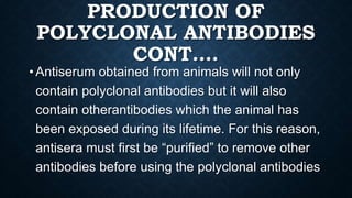 Monoclonal vs Polyclonal antibodies | PPTX | Blood Disorders | Diseases ...