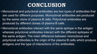 Monoclonal vs Polyclonal antibodies | PPTX