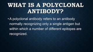 Monoclonal vs Polyclonal antibodies | PPTX
