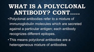 Monoclonal vs Polyclonal antibodies | PPTX