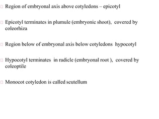 Monocot and dicot | PPTX
