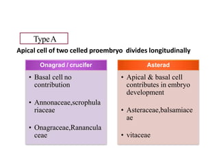 Monocot and dicot | PPTX