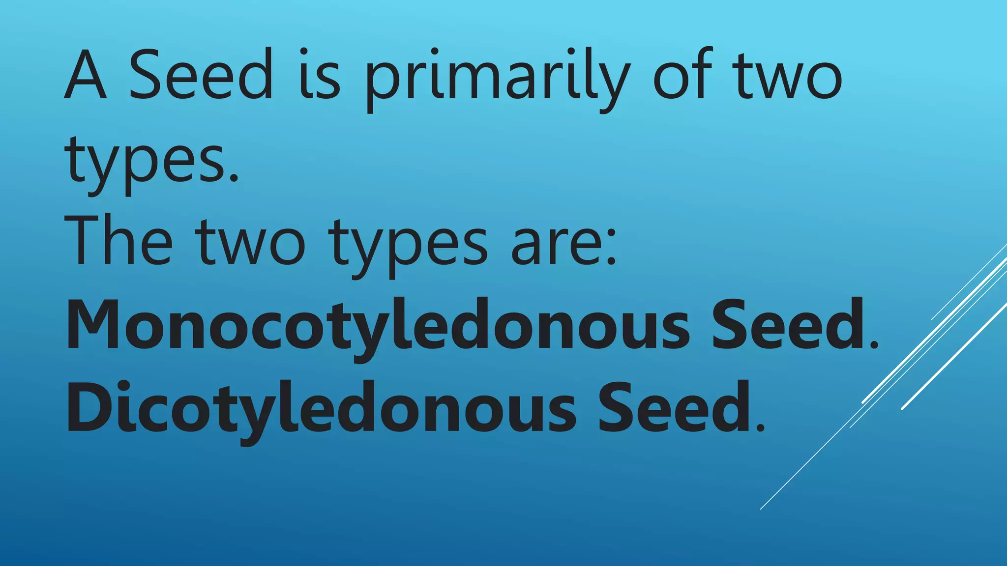 Monocot and dicot grade 4.pptx