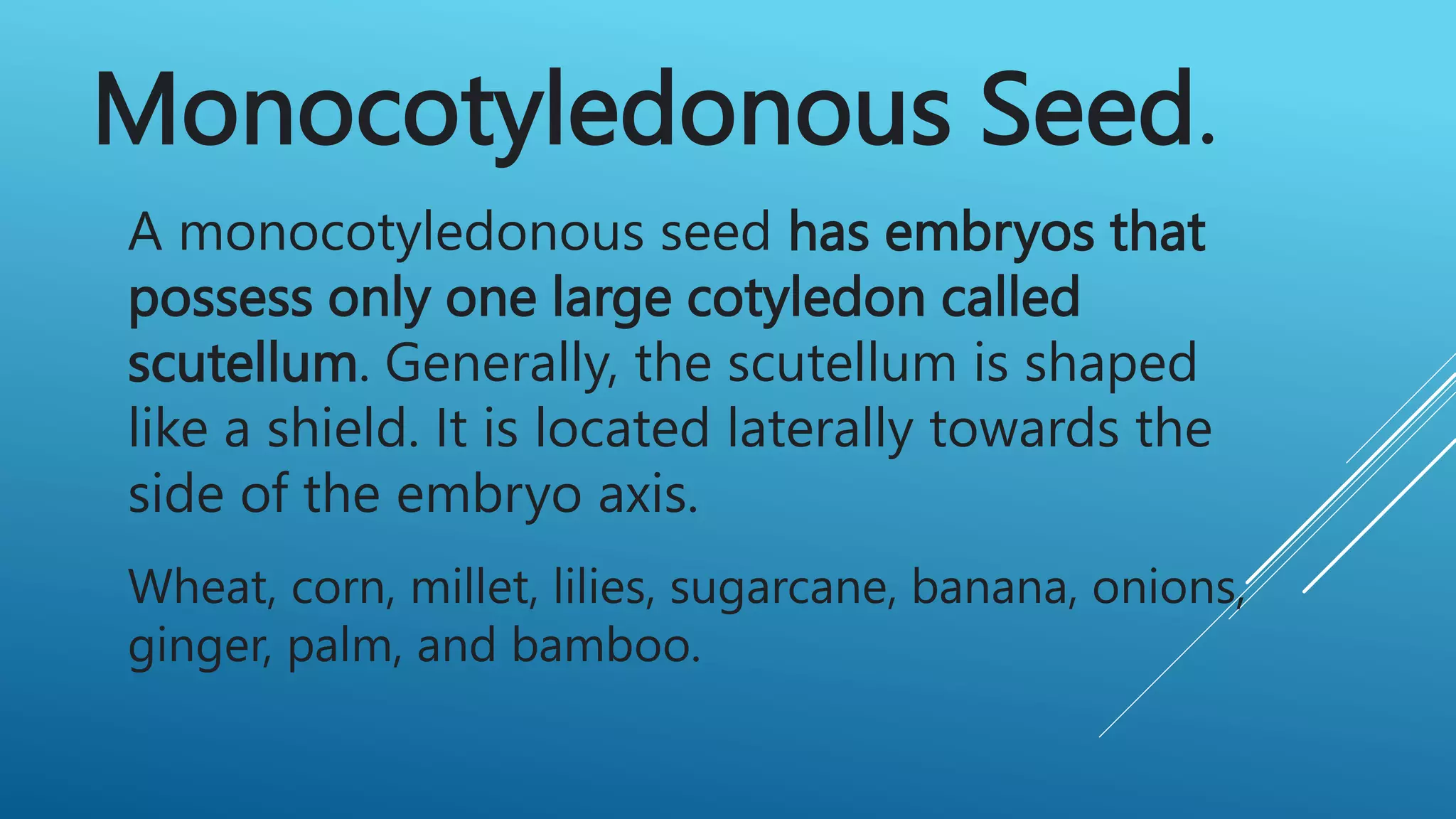 Monocot and dicot grade 4.pptx