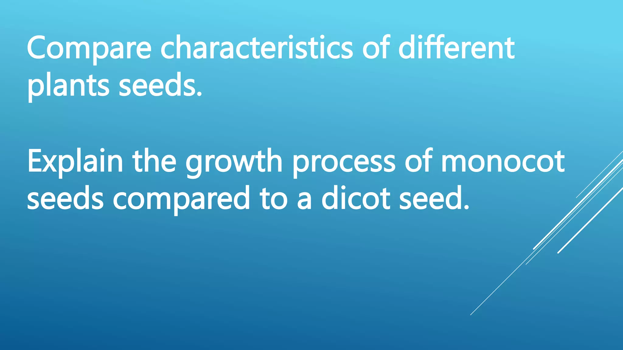 Monocot and dicot grade 4.pptx