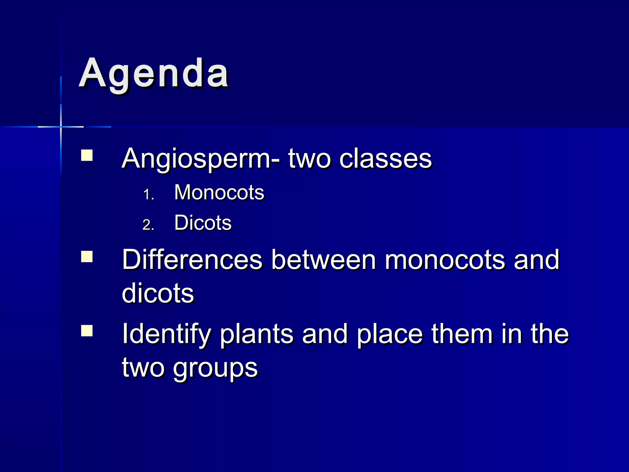Monocots and dicots | PPT