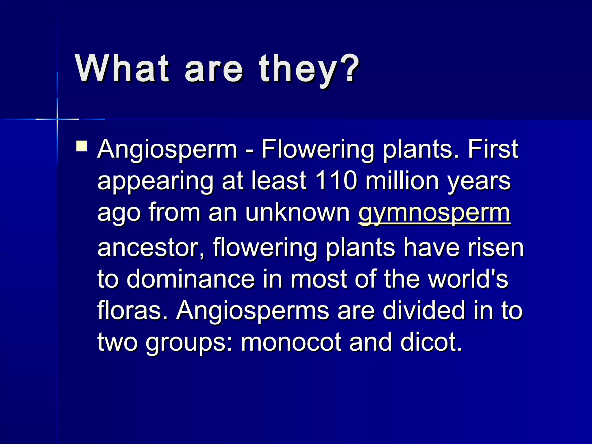Monocots and dicots | PPT