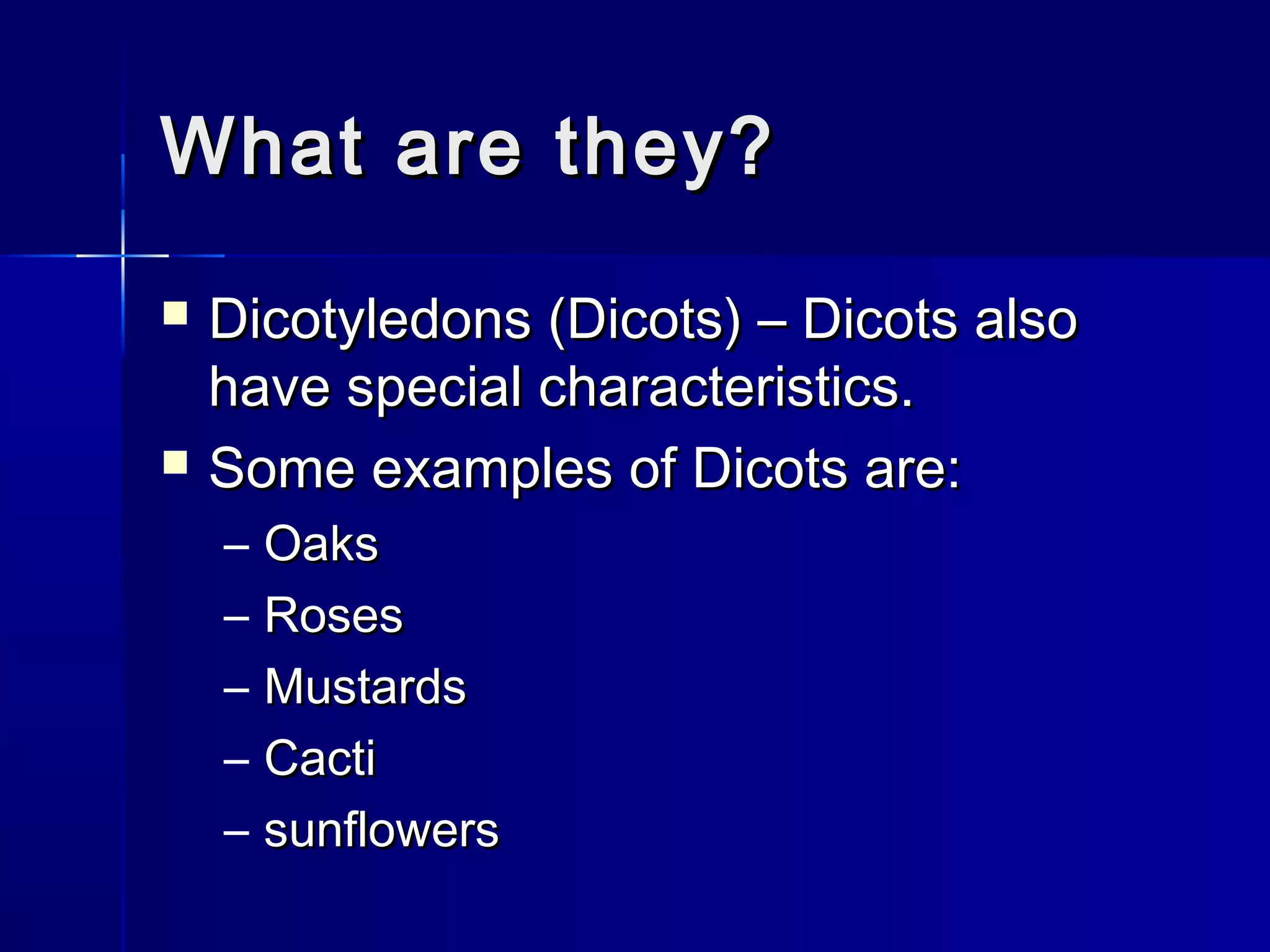Monocots and dicots | PPT