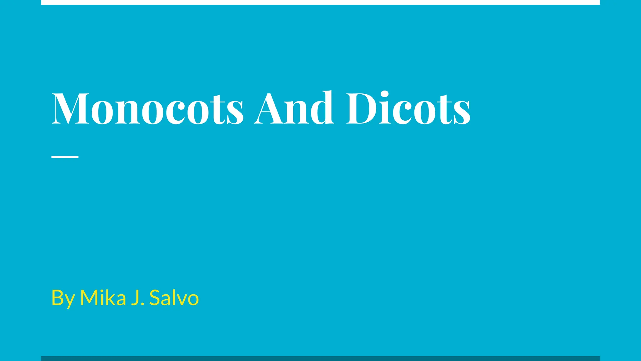 Monocots And Dicots report on biology on how to distinguishh | PPTX
