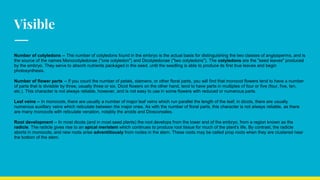 Monocots And Dicots report on biology on how to distinguishh | PPTX