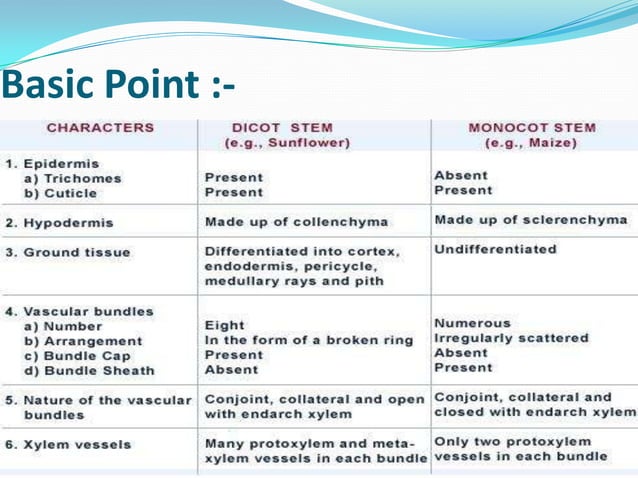 Monocot vs Dicot | PPTX | Gardening | Home & Garden