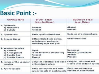 Monocot Vs Dicot Slide