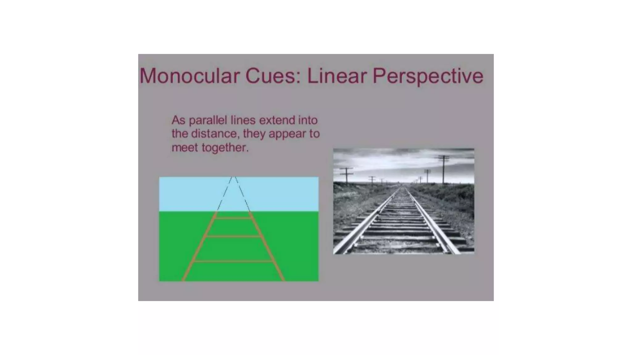 Monocular cues | PPTX