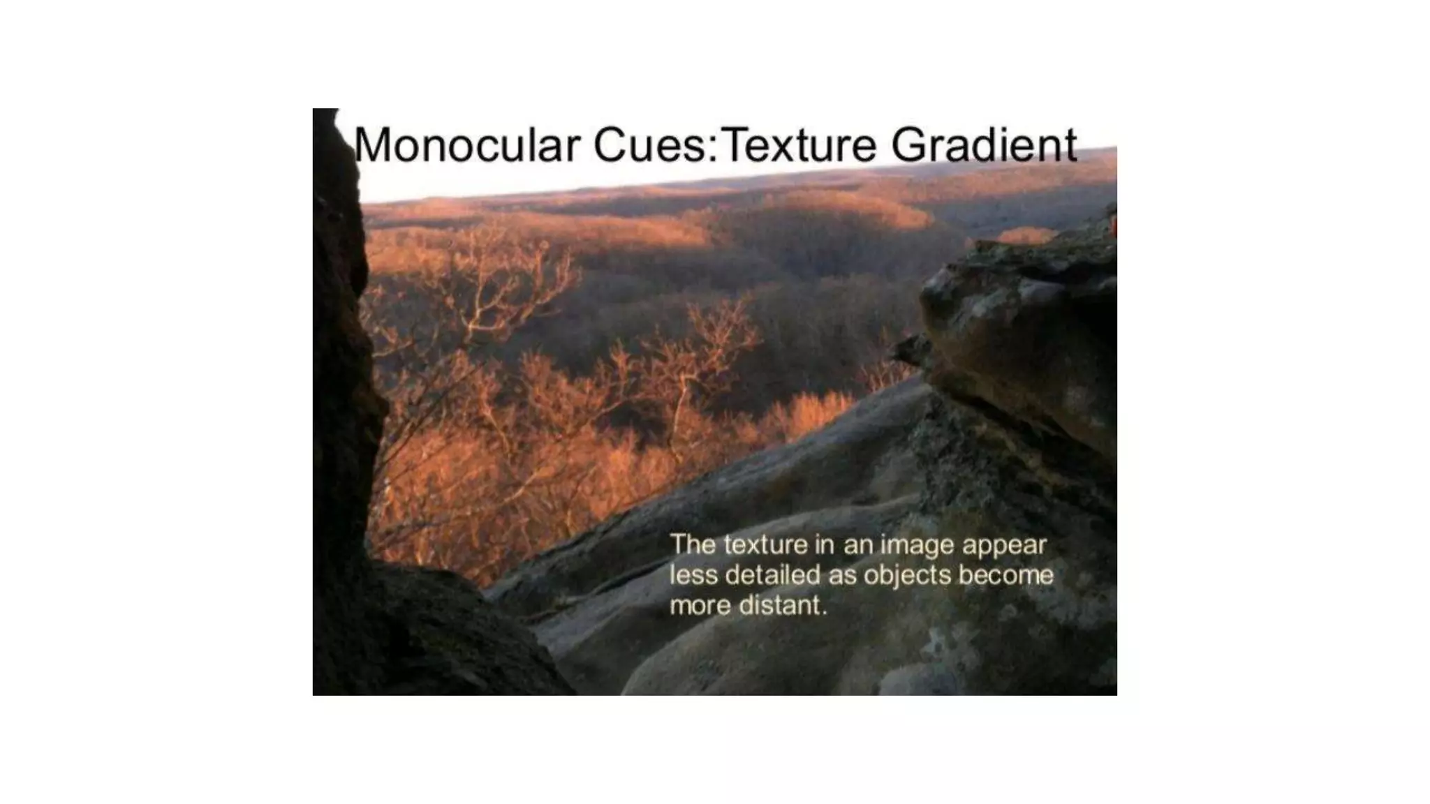 Monocular cues | PPTX