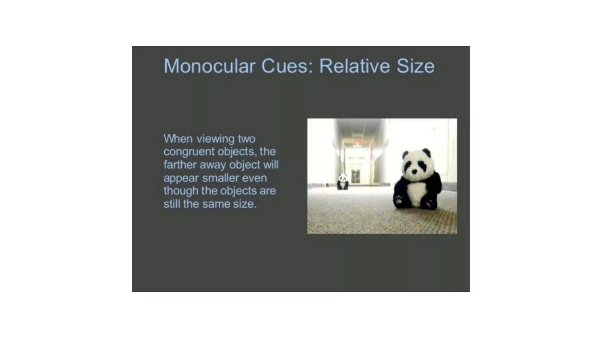 Monocular cues | PPTX