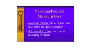 Monocular cues | PPTX