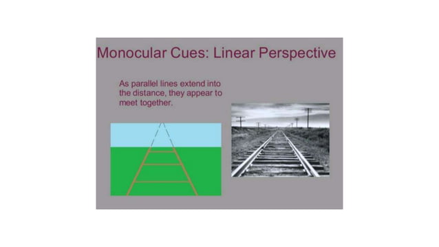Monocular cues | PPTX