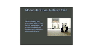 Monocular cues | PPTX