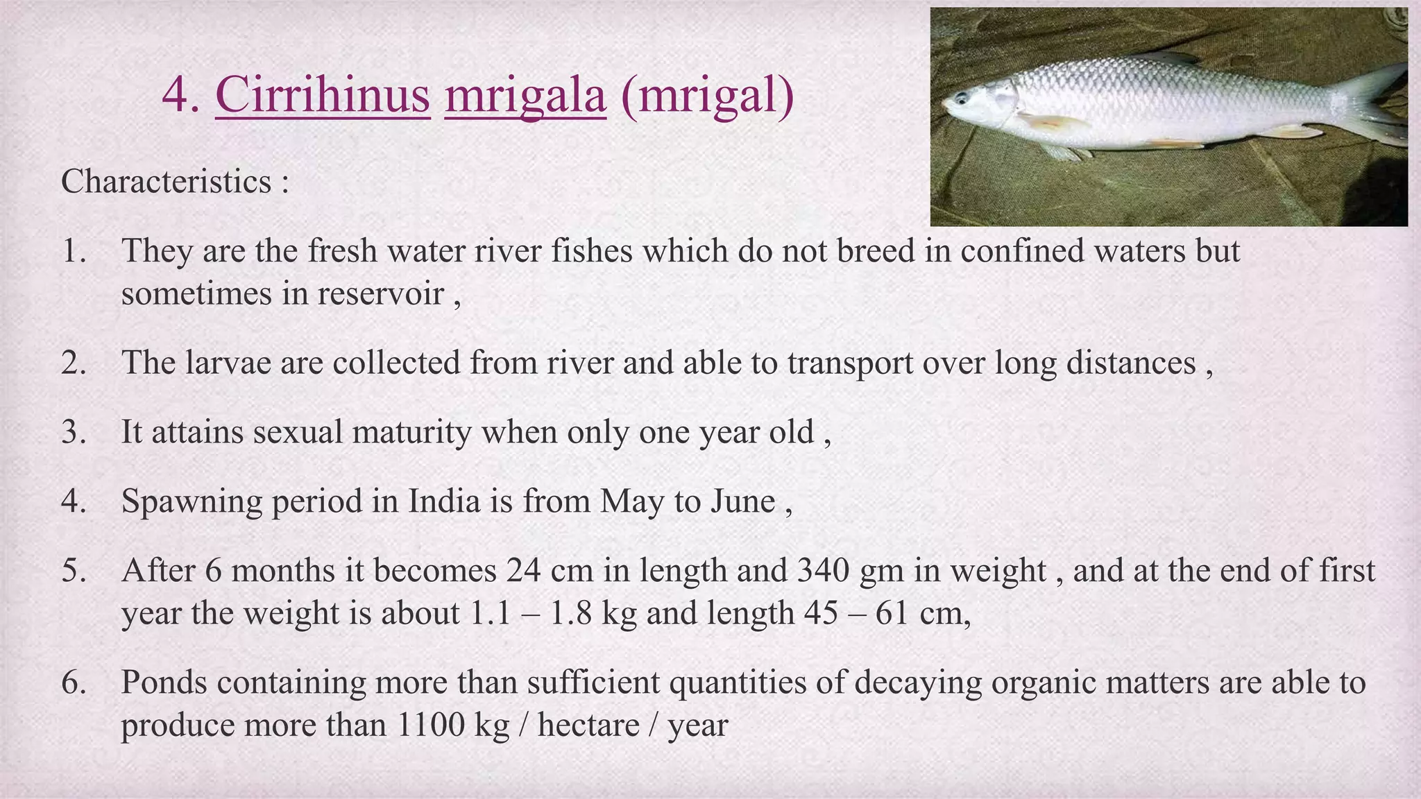 Monoculture (aquaculture) | PPTX